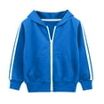 Ccpelsie Toddler Zip Up Hoodie Sweatshirt Fall Clothes Boys Jacket for ...
