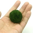 3-4cm Marimo Moss Balls Live Aquarium Plant Algae Fish Shrimp Tank ...