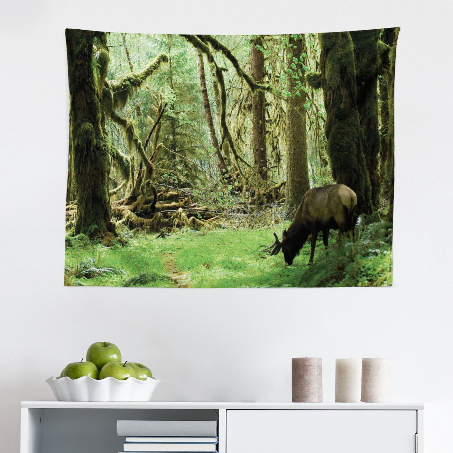 Rainforest Tapestry, San Rafael Falls Ecuador Misty Natural Waterfall ...