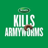 Scotts Turf Builder SummerGuard Fertilizer & Yard Feed with Insect ...