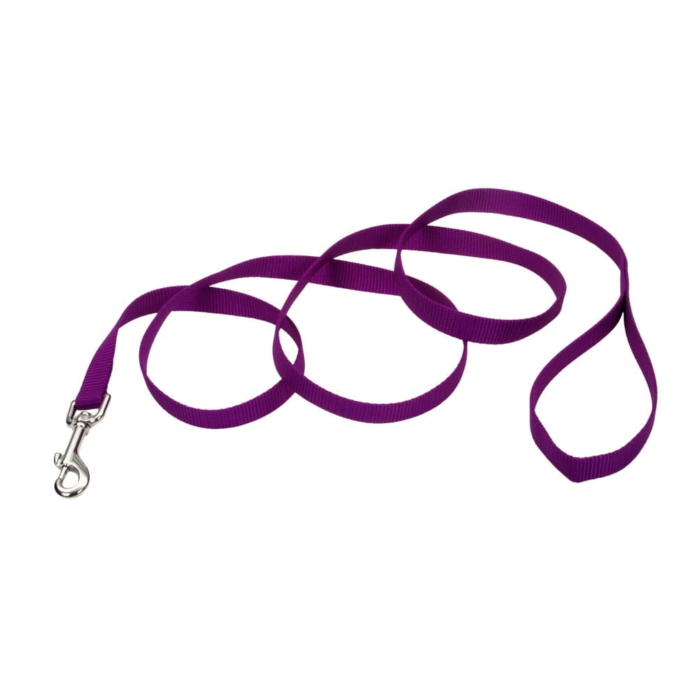 nylon-lead-three-quarters-inch-by-6-feet-purple-walmart