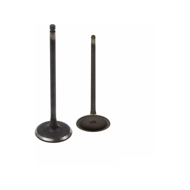 Intake Valve - Compatible with 2008 - 2015 Honda Odyssey 3.5L V6 J35A7 ...