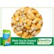 Healthy Harvest Whole Corn for Feeding Livestock and Poultry, 40 lb Bag ...