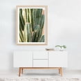 Cactus Close-Up - Marrakesh Marrakesh-Safi Morocco Photography Cactus ...