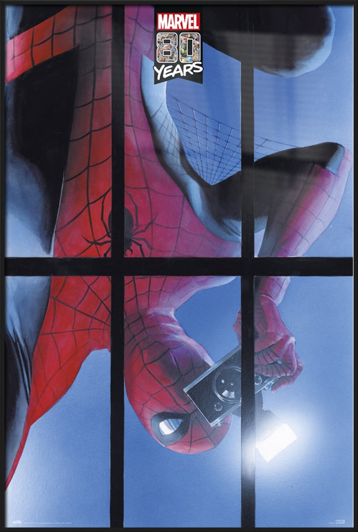 Spider-Man - Framed Marvel Comics Poster (Spidey With Camera - Marvel ...