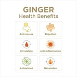 The Ginger People, Ginger Chews, 1lb, Original Ginger Flavor - Walmart.com