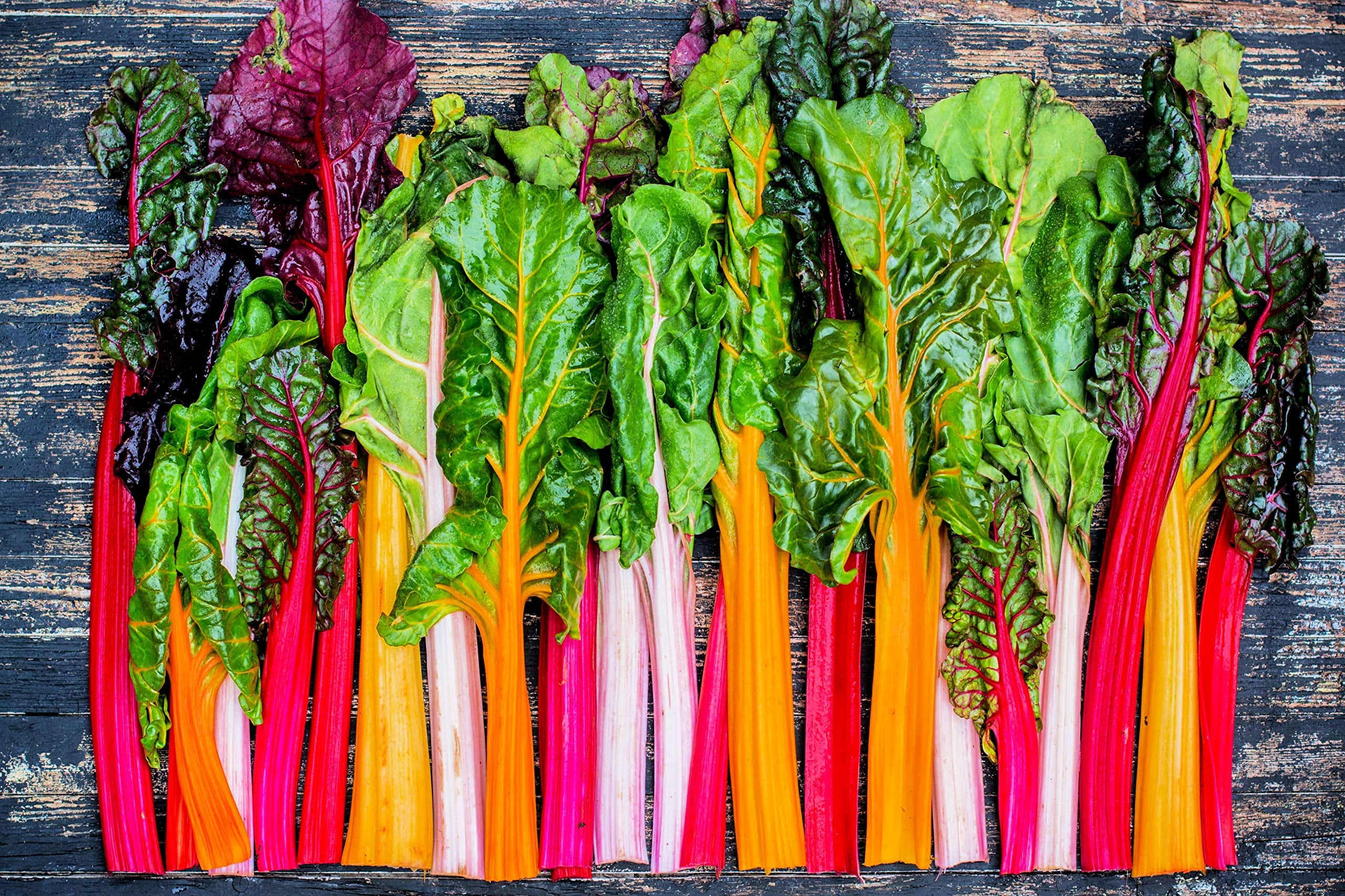 Bright Lights Swiss Chard Seeds for Planting - 200+ Seeds - Rare ...