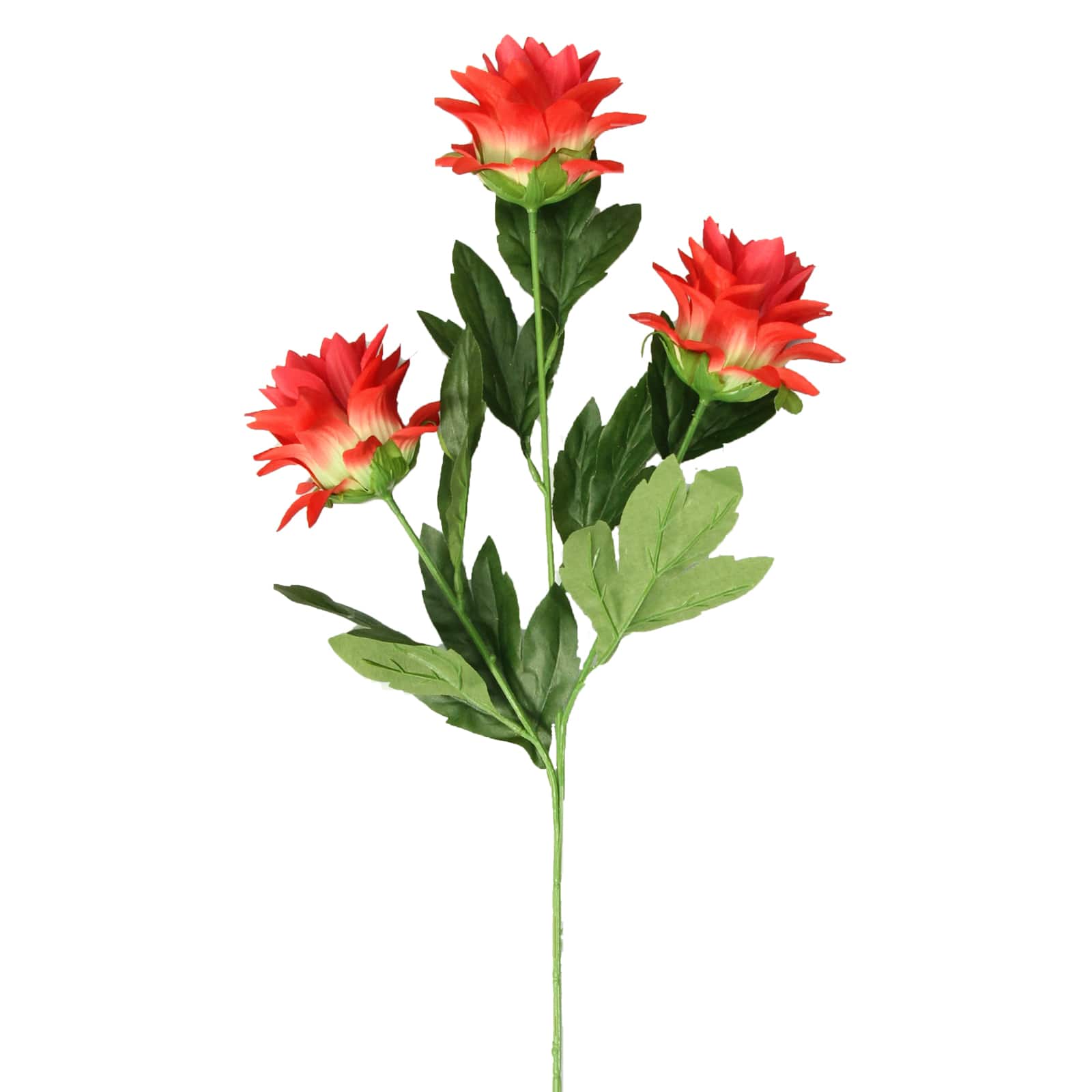 12 Pack: Red Hops Stem by Ashland® - Walmart.com