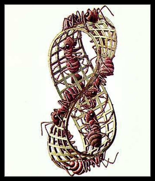 Mobius Strip Laminated & Framed Poster by M.C. Escher (22 x 26 ...