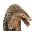 Safari Ltd. Pangolin Figurine - Realistic 7" Model Figure - Educational ...