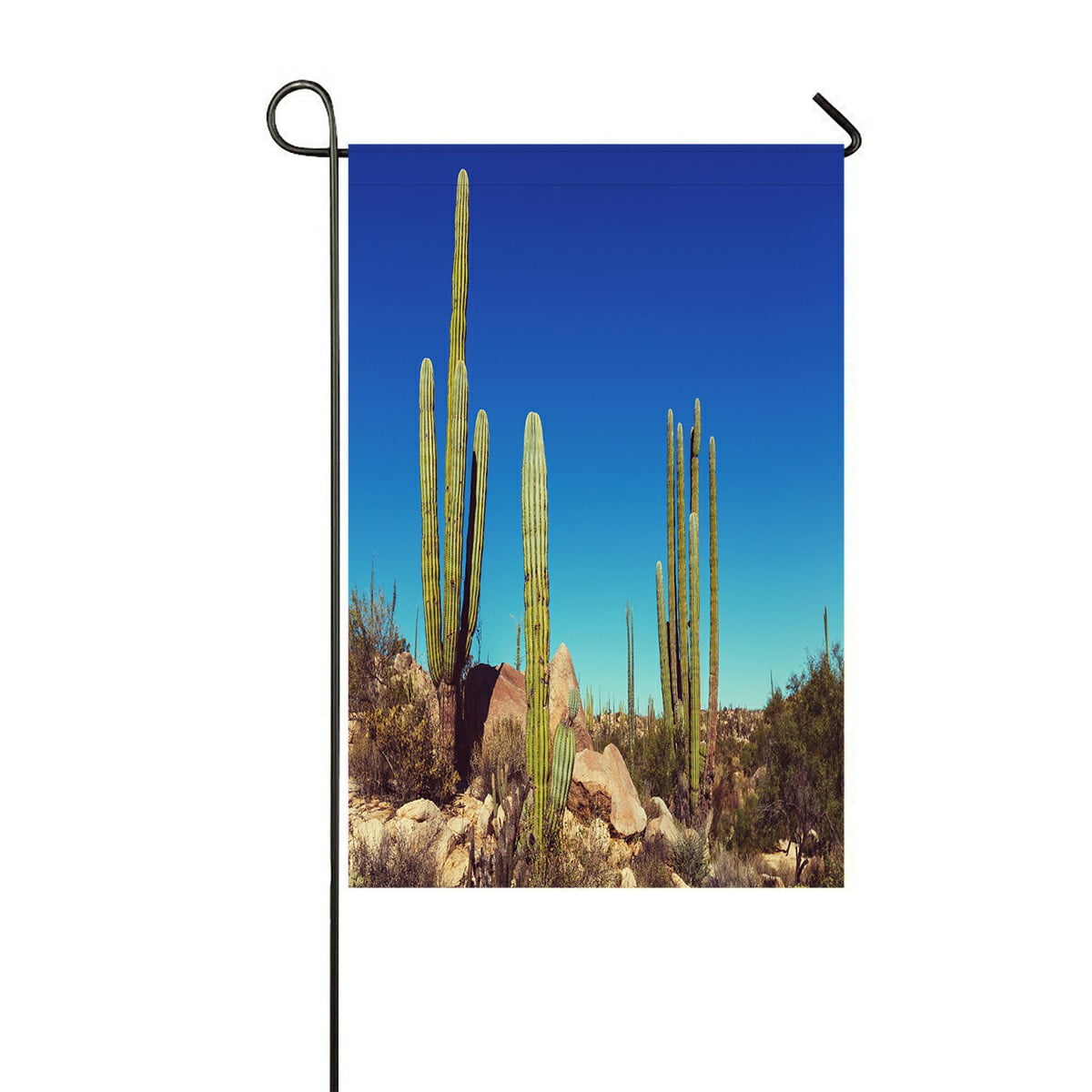 ECZJNT Cactus fields Mexico Baja California Garden Flag Outdoor Flag ...