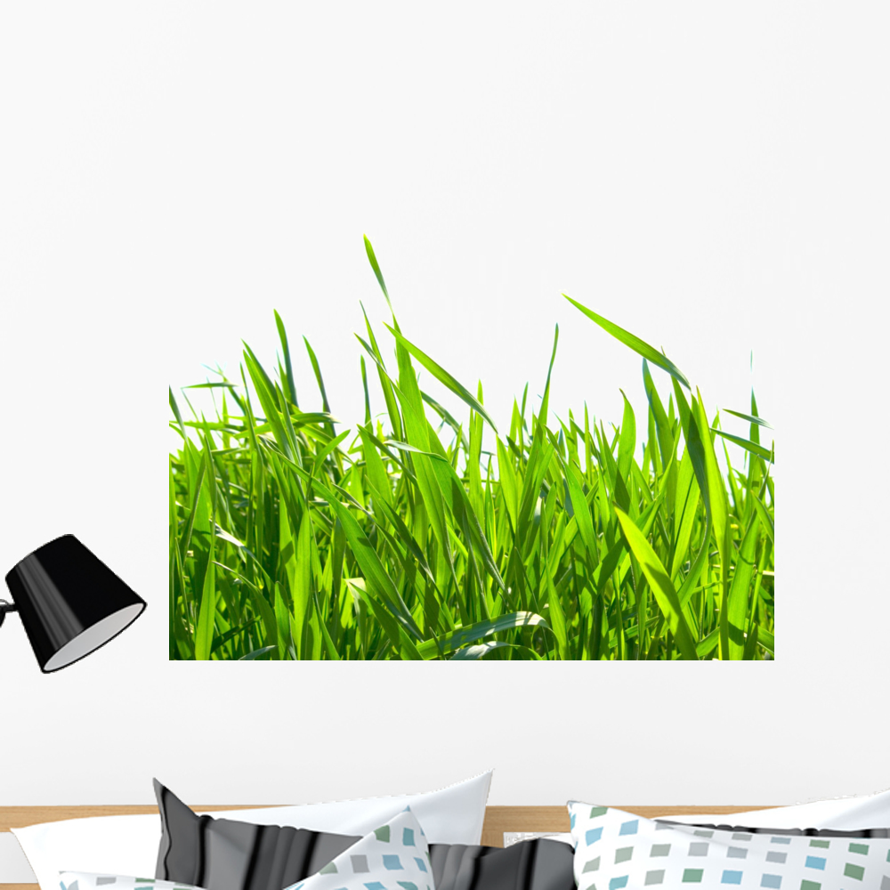 Green Grass Wall Mural Decal Sticker, Wallmonkeys Peel & Stick Vinyl ...
