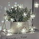 Snowflake String Lights, 33 ft LED String Lights with 2 Modes, Battery ...