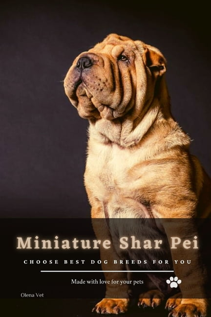 How Much Is A Miniature Shar Pei