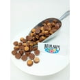 Miniature Milk Chocolate Peanut Butter Buckeyes, 1 Pound Bulk Bag ...