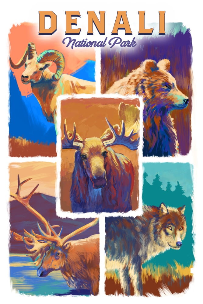 Denali National Park, Alaska, Vivid Animals (16x24 Giclee Gallery Art ...