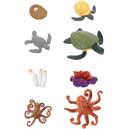 2 Sets Animal Life Cycle Toys Butterfly Snail Animal Growth Stage ...