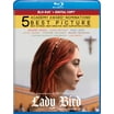 Lady Bird (Blu-ray + DVD) - Walmart.com