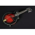 Washburn M3SW Americana F-Style Mandolin Red - Walmart.com