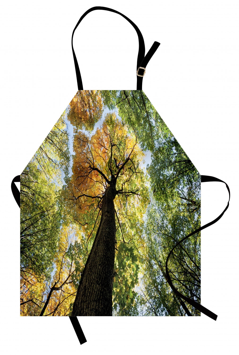 Tree Apron Ancient Forest in Autumn Green Nature Deciduous Foliage ...