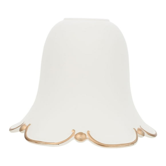 Ceiling Light Covers