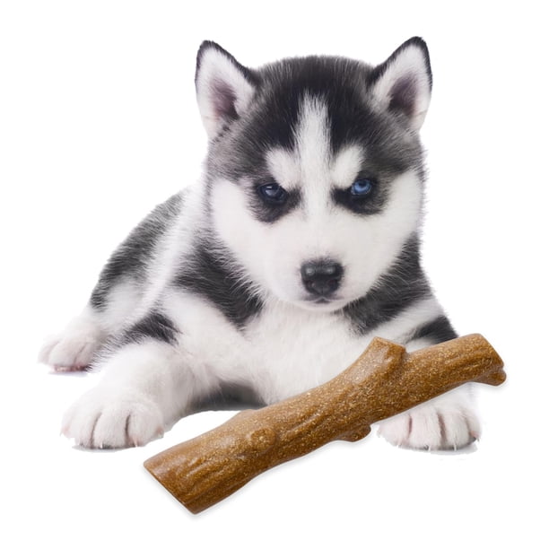 Training Stick Dogs
