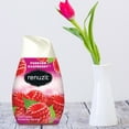 Renuzit Adjustable Gel Air Freshener, Forever Raspberry Scent, 7oz, 3 ...