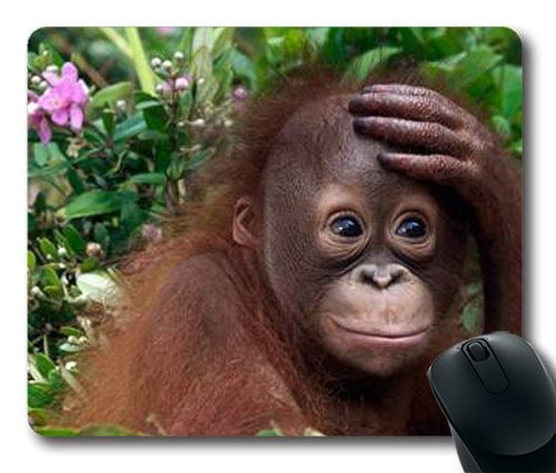 POPCreation Monkey Mouse pads Gaming Mouse Pad 9.84x7.87 inches ...