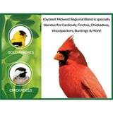 Kaytee Midwest Regional Blend, Wild Bird Feed and Seed, 10 Pounds ...