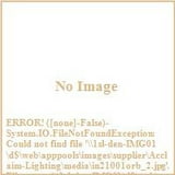 Acclaim Lighting IN21001BK Cobar 4-Light Matte Black Pendant - Walmart.com