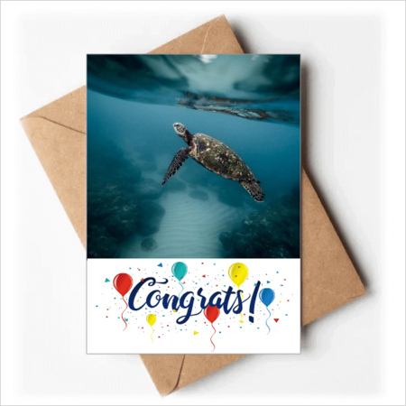 Ocean Sea Turtle Science Nature Wedding Cards Congratulations Greeting ...