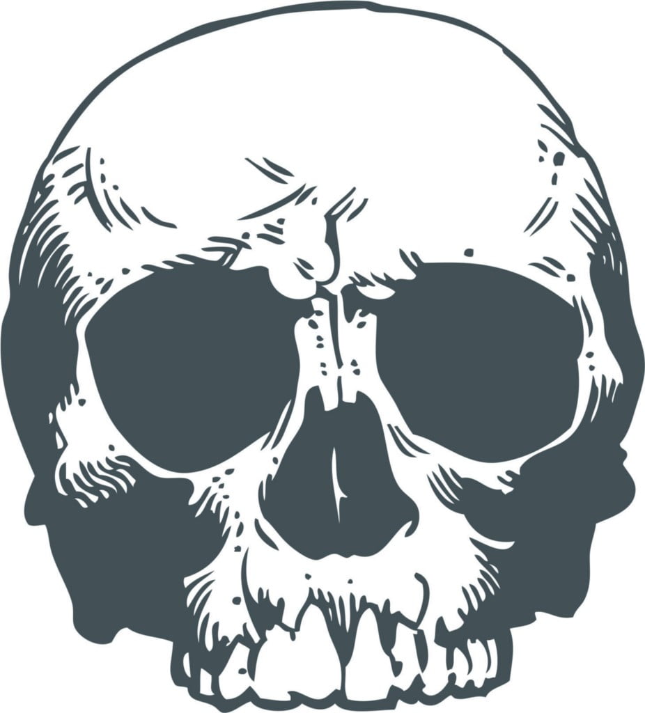 Design With Vinyl Artwork Pirate Rotten Teeth Sckull Face Caribbean ...