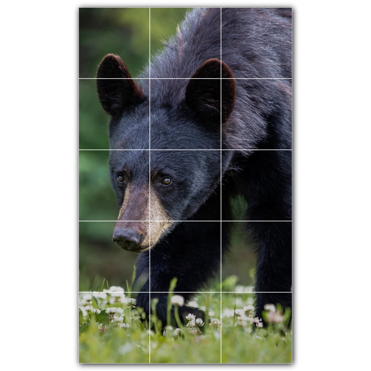Picture-Tiles.com: Bear Ceramic Tile Wall Mural WAL500119-35M. 18"W x ...