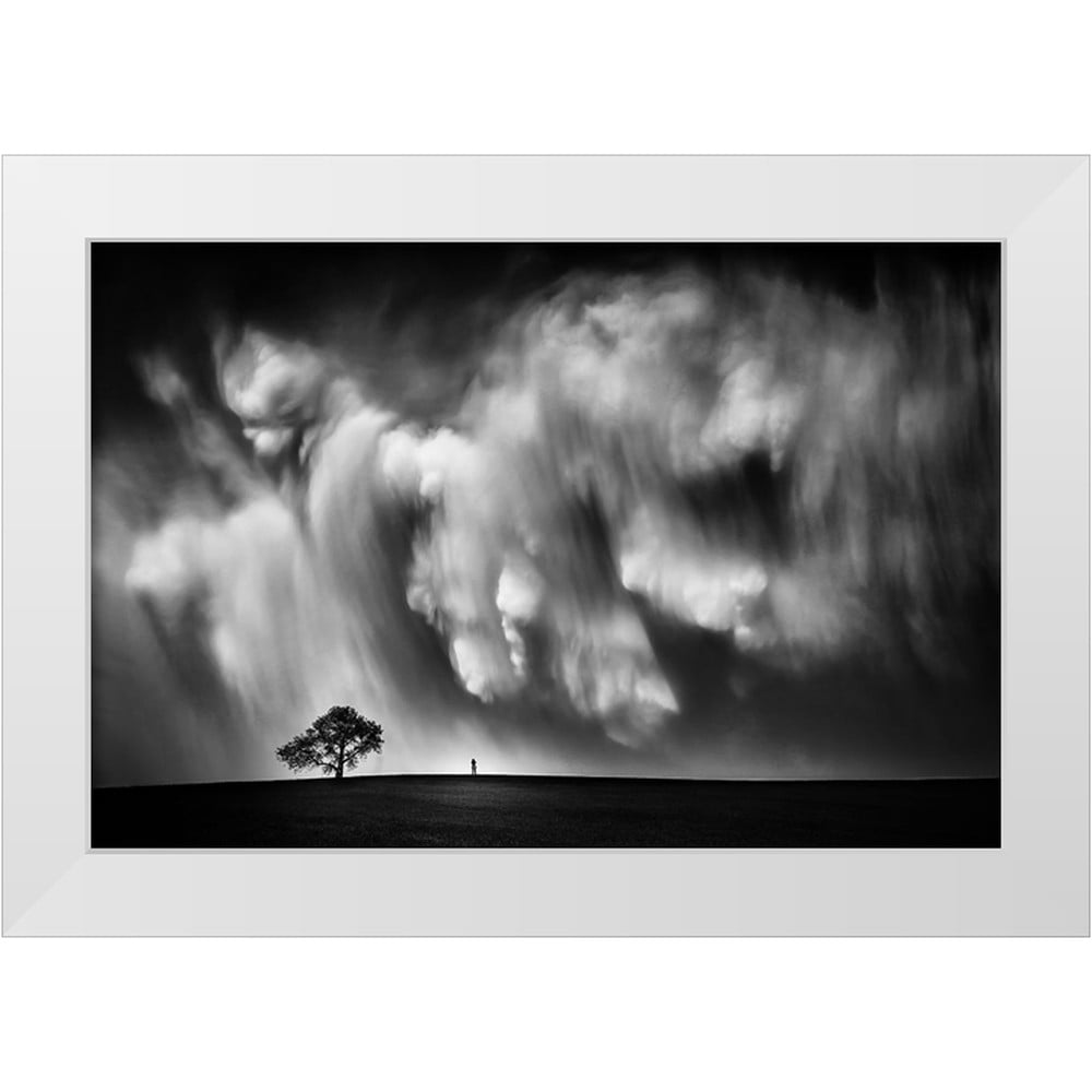 He, Like 24x17 White Modern Wood Framed Museum Art Print Titled - Storm ...