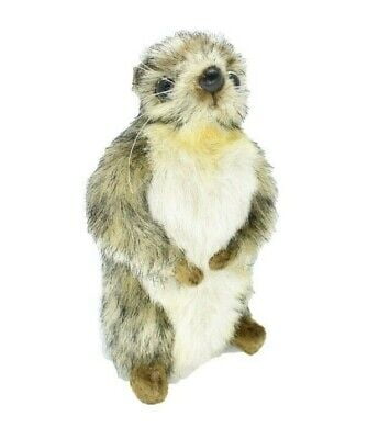Groundhog, Marmot, Very Nice Plush, Stuffed Animal, Educational, Toy ...