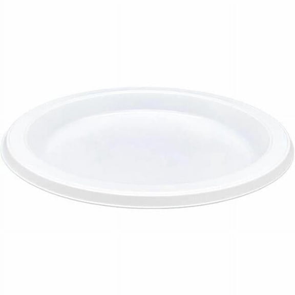 Genuine Joe Disposable Plastic Plates - Picnic, Food, Party, Breakroom ...