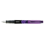 Zebra V-301 Stainless Steel Fountain Pen with Bonus Refill, Fine Point ...