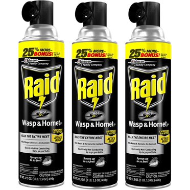 Raid Wasp and Hornet Spray 17.5 Ounces - Pack of 3 - Walmart.com