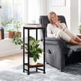 Plant Stand Indoor, Tall stands for Indoor Outdoor Plants, 2 Tier Heavy ...