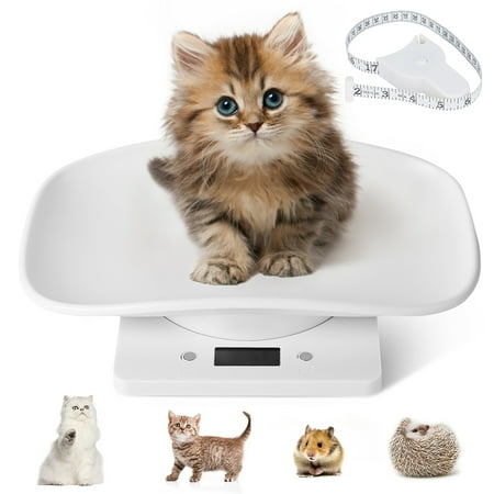 Digital Pet Scale, Multi-Function Small Animal Scale , Puppy Weight ...