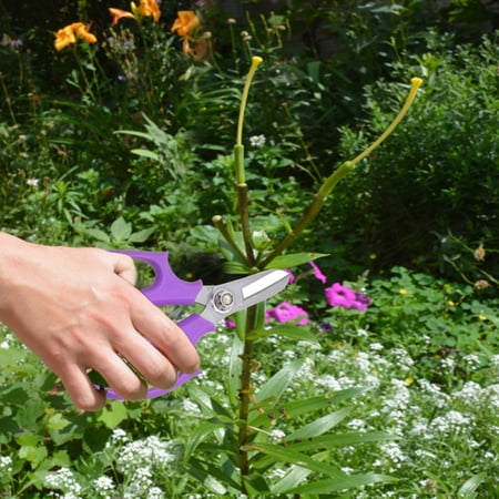 Homely Trim Tool Garden Gardening Floriculture Pruning Flowers And ...