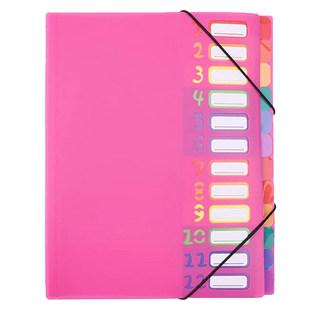 File Folder Document Binder Dividers Colorful Classification Storage ...