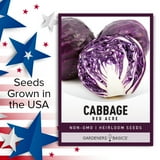 Red Acre Cabbage Seeds - Walmart.com