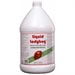 Liquid Ladybug 1 Gallon Concentrate - Walmart.com
