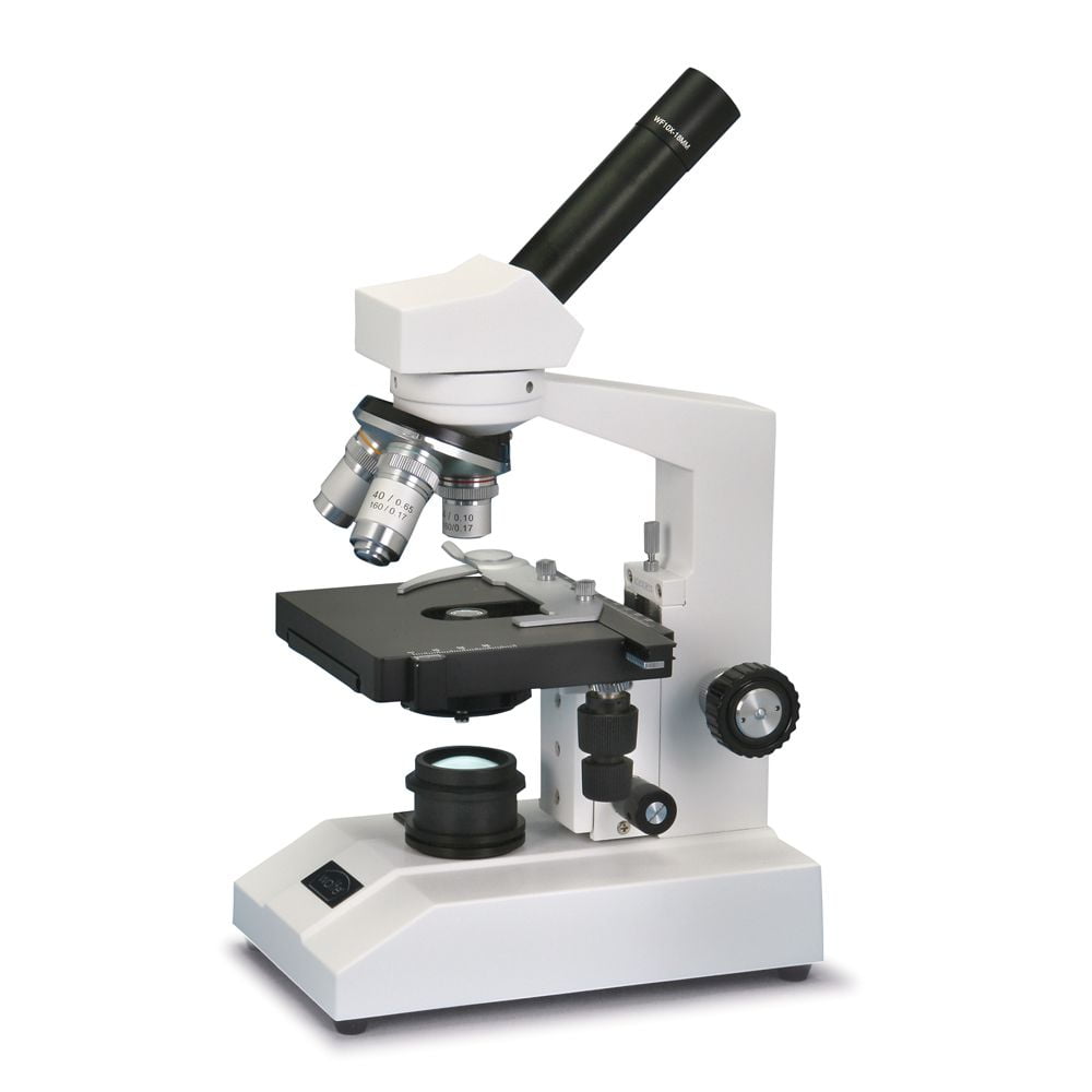 Wolfe® Cfl Educational Microscope With Mechanical Stage, Inclinde ...