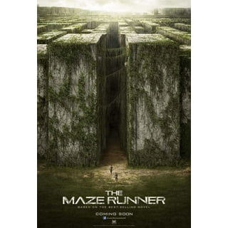 The Cliff Maze Runner