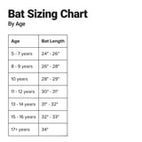 Rawlings Blue Youth T-Ball Bat, 24 inch (-12) - Walmart.com