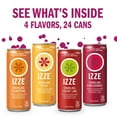 Izze Sparkling Fruit Juice Variety Pack - Peach, Cherry Lime ...