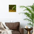 3drose, Katydid, Orthopteran, in Cloud Forest, Costa Rica, 13x13 Wall ...