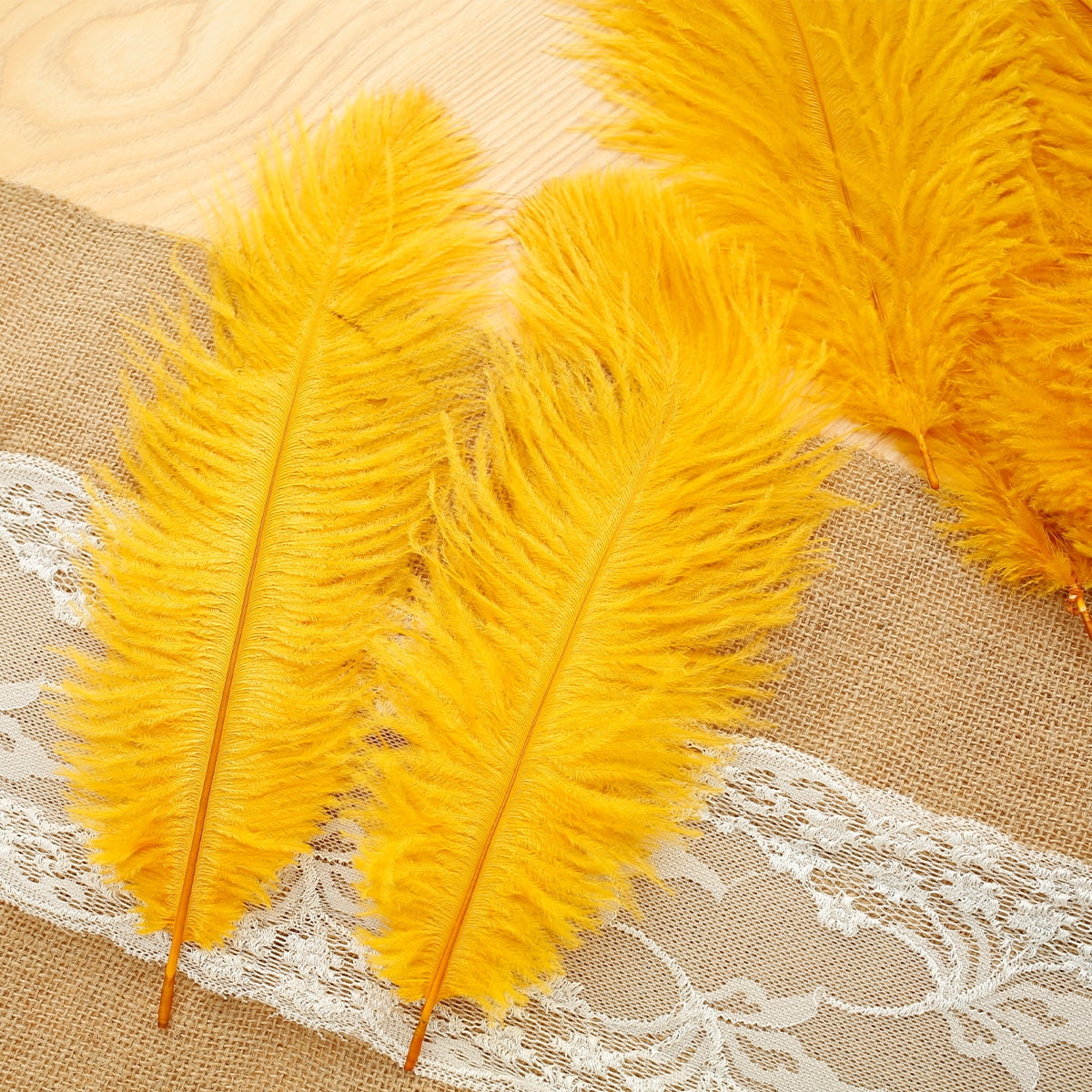 Pluokvzr 10Pcs Ostrich Feather Multi-Color Ostrich Feather Plume ...